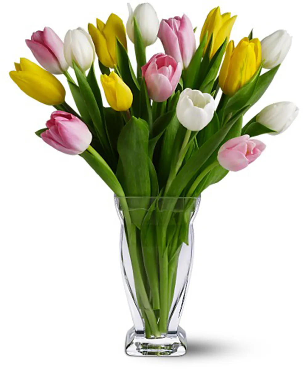 Spring Tulips | Alexandria (VA) Same-Day Flower Delivery | Conklyn's ...